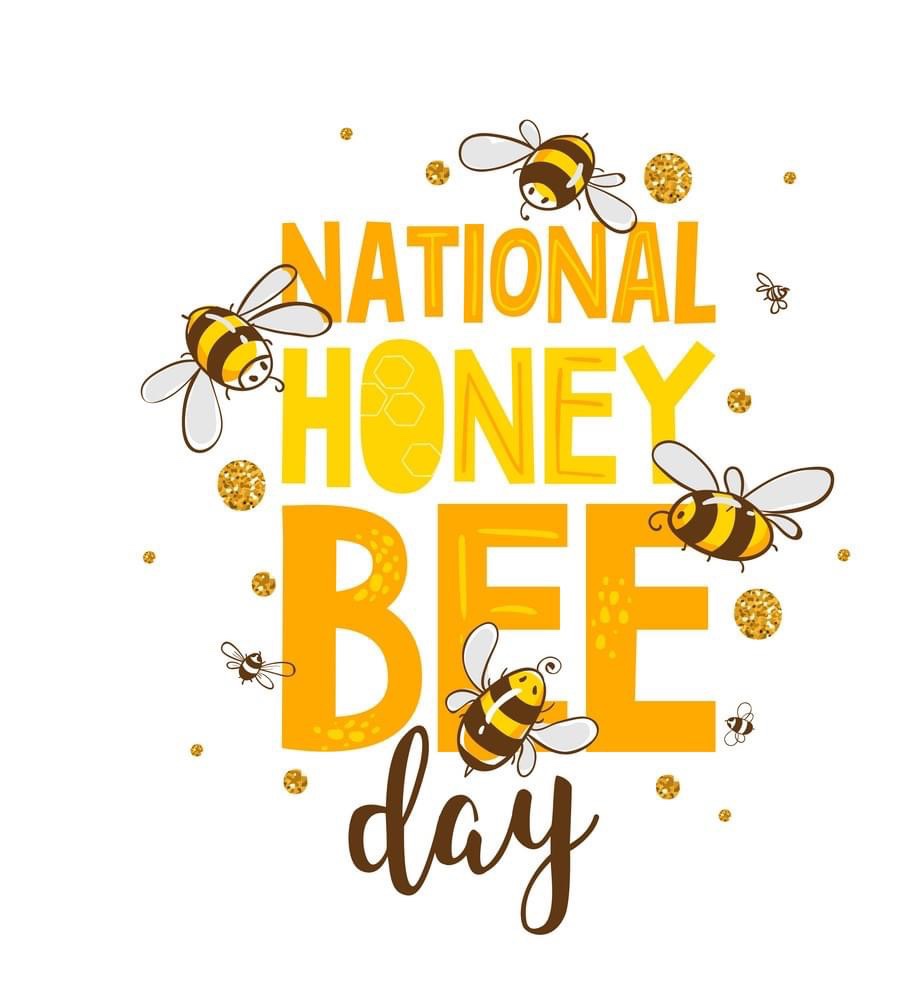 August 20, 2022 – National Honey Bee Day – Rockwood Park Backyard ...